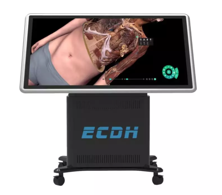 Evolving Traditions: The Role of Cadaver Dissection in Modern Medical ...